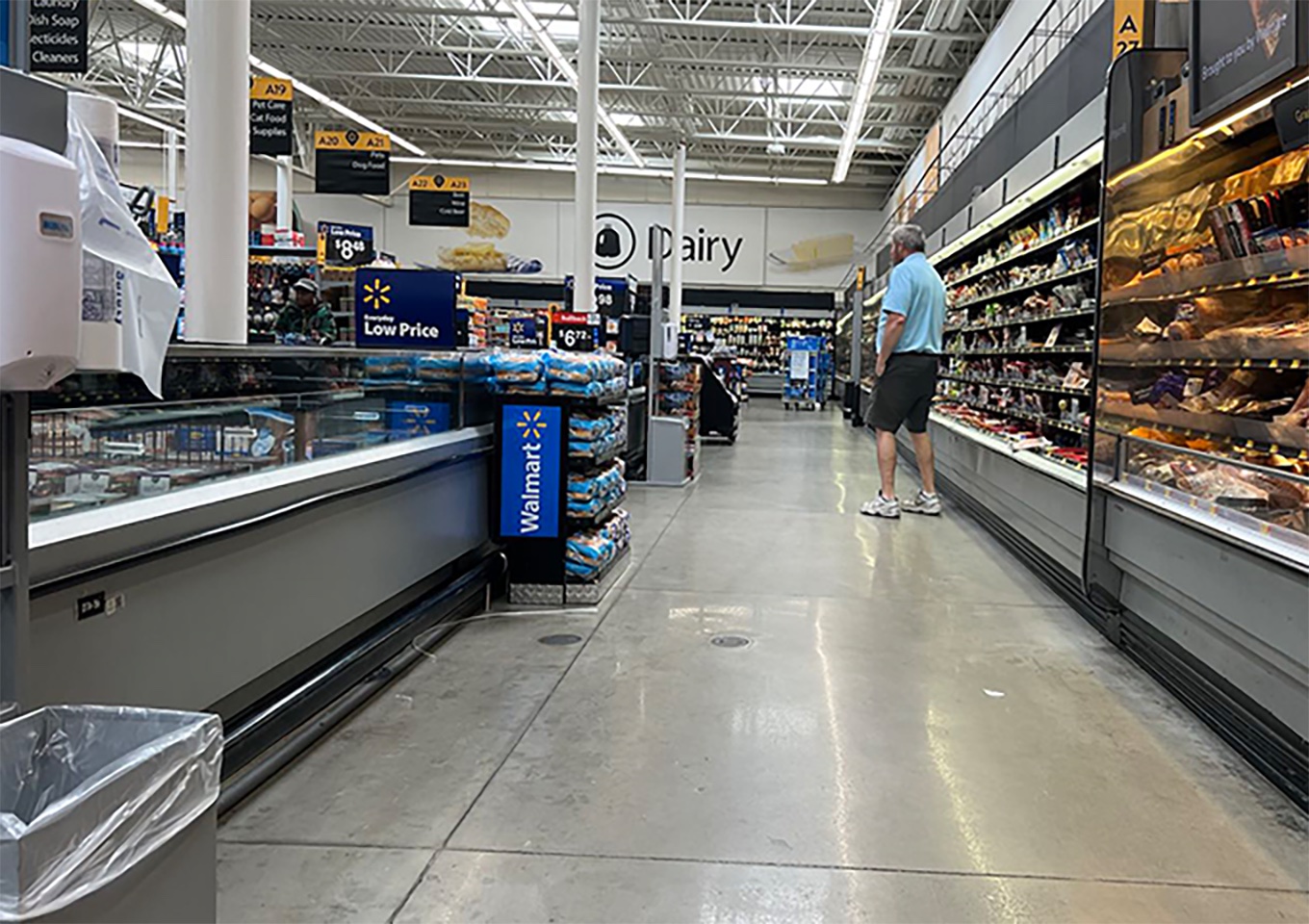 Solutions - Cenobots