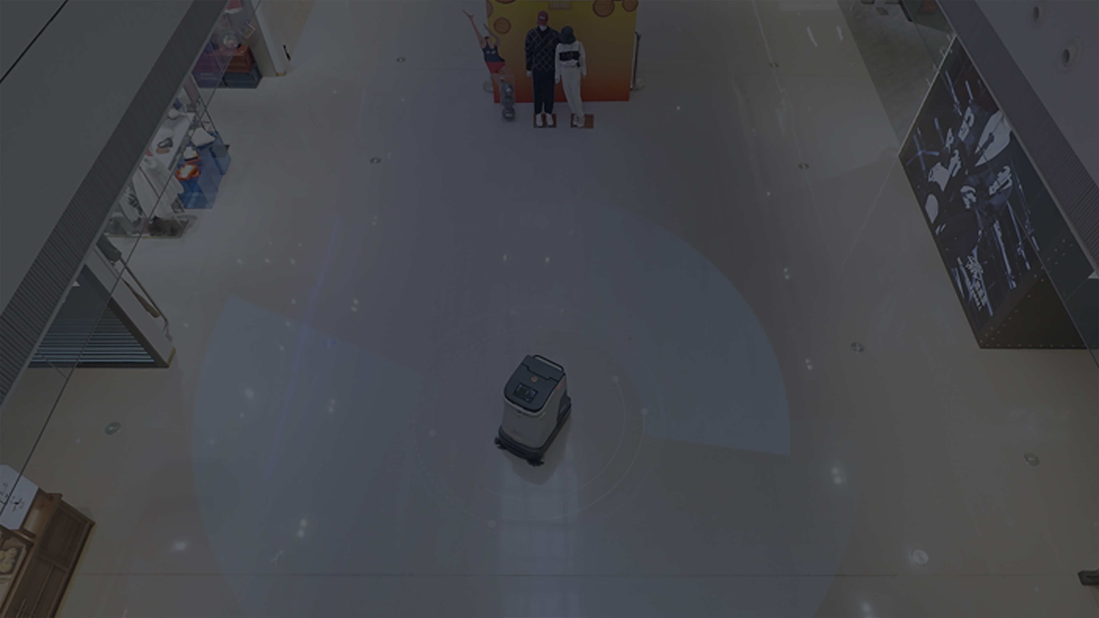 Technologies - Cenobots